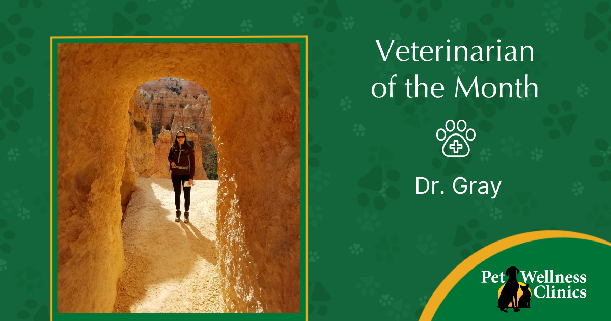 Dr. Gray, Vet of the Month | Pet Wellness Clinics